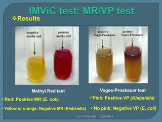 Enterobacteriaceae 120413233647-phpapp02 | PPT