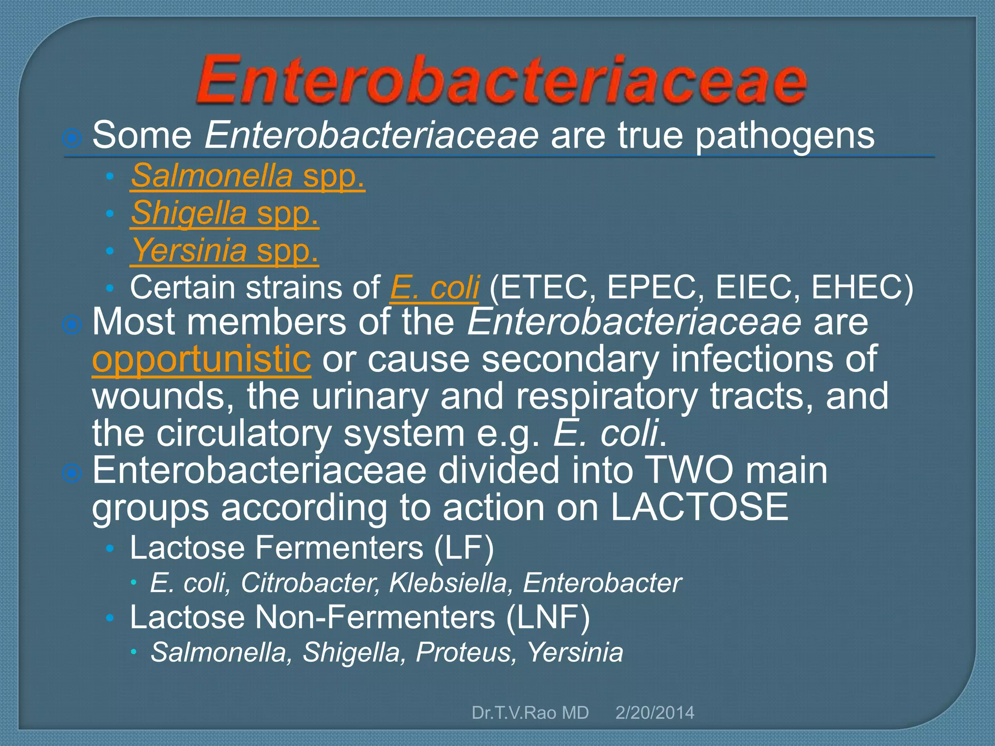 Enterobacteriaceae 120413233647-phpapp02 | PPSX