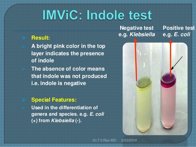 Enterobacteriaceae 120413233647-phpapp02