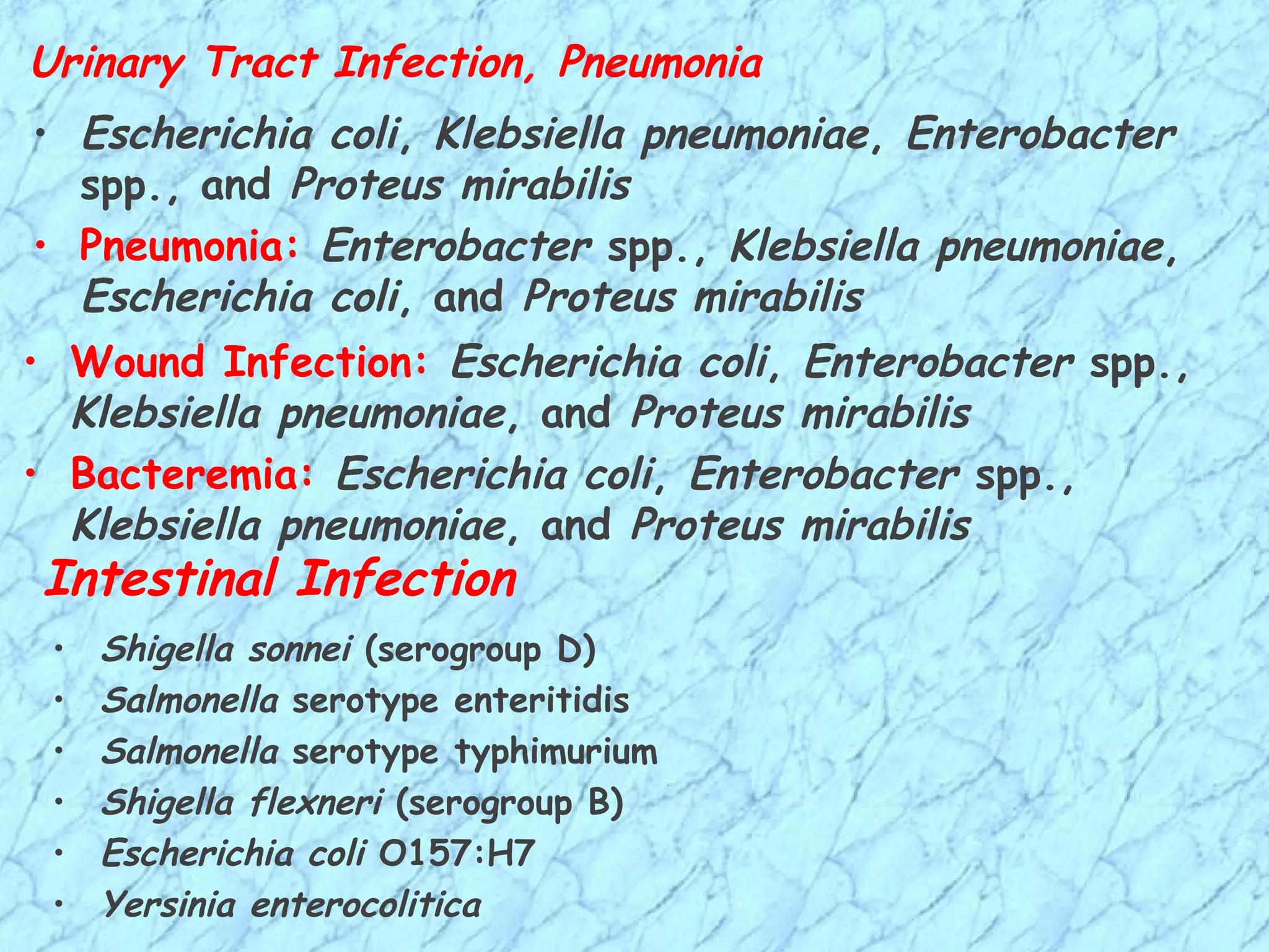 Enterobacteriaceae | PPT