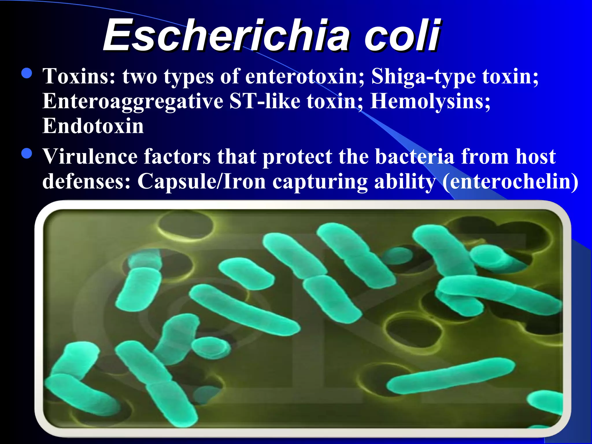 Enterobacteriaceae | PPT
