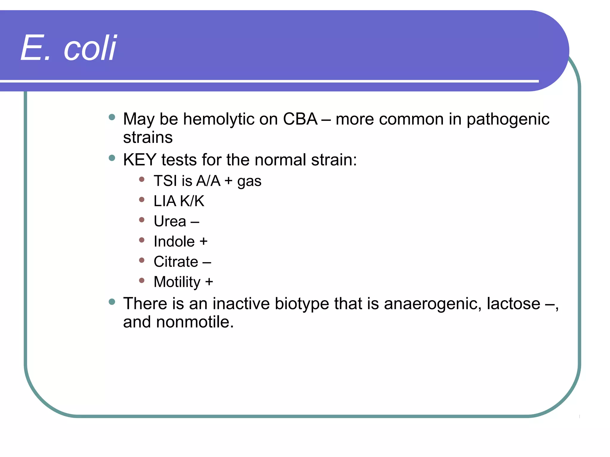 Enterobacteriaceae | PPT | Digestive Disorders | Diseases and Conditions