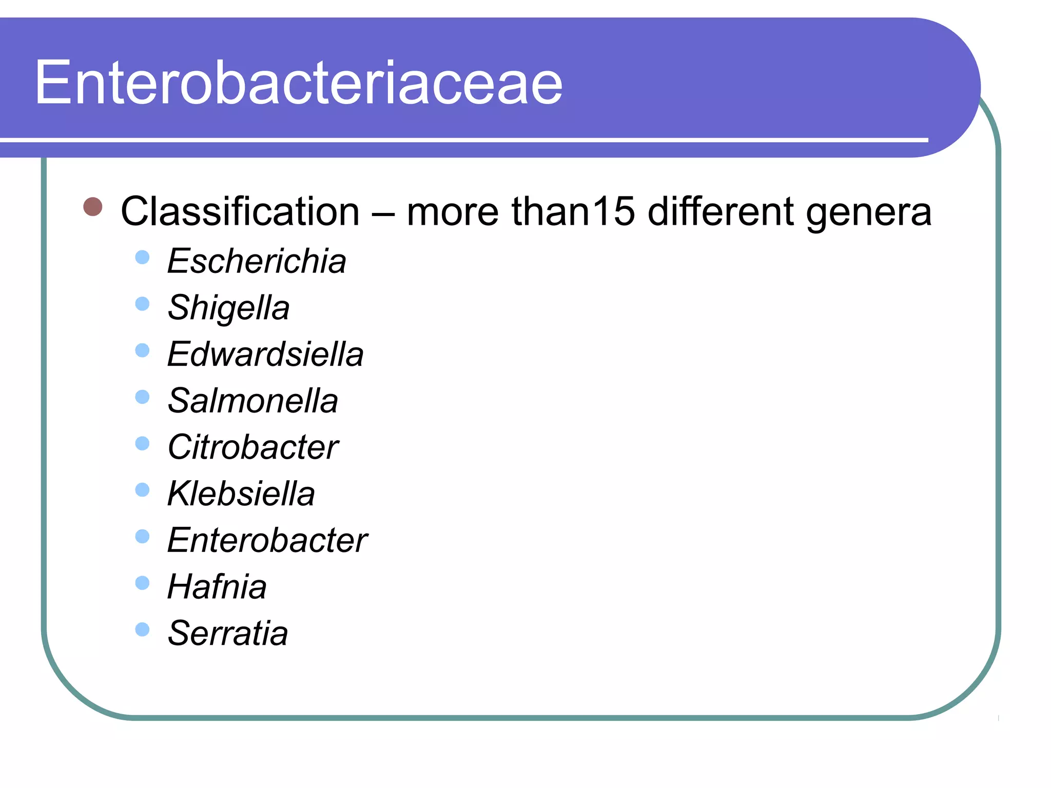 Enterobacteriaceae | PPT