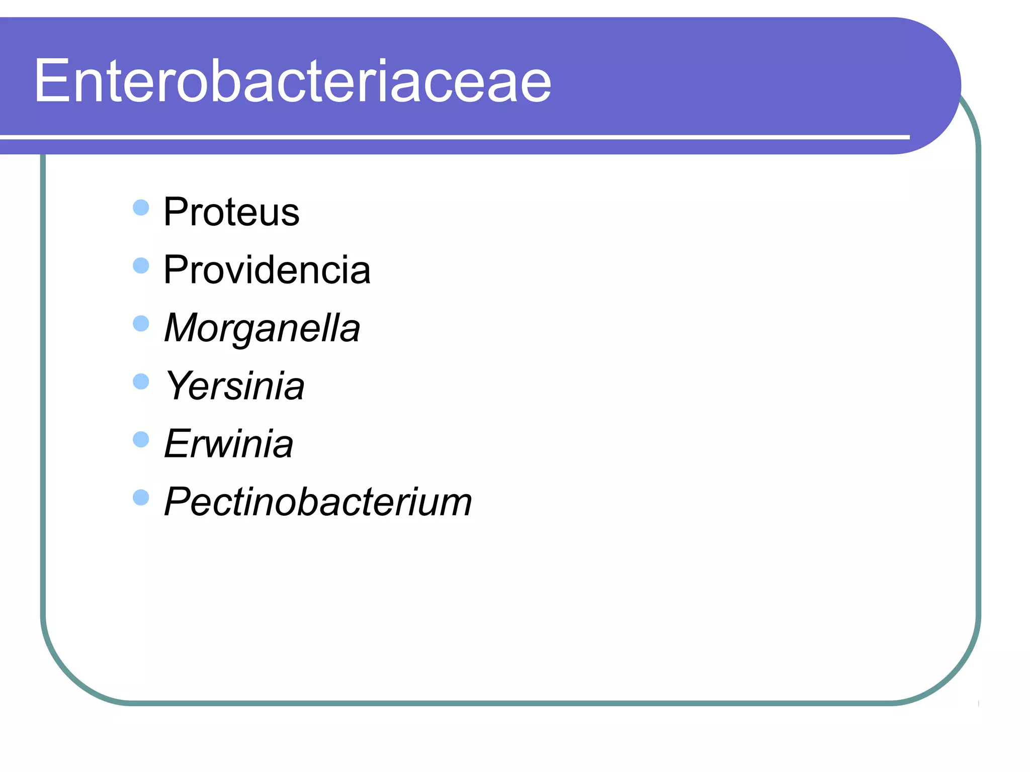 Enterobacteriaceae | PPT