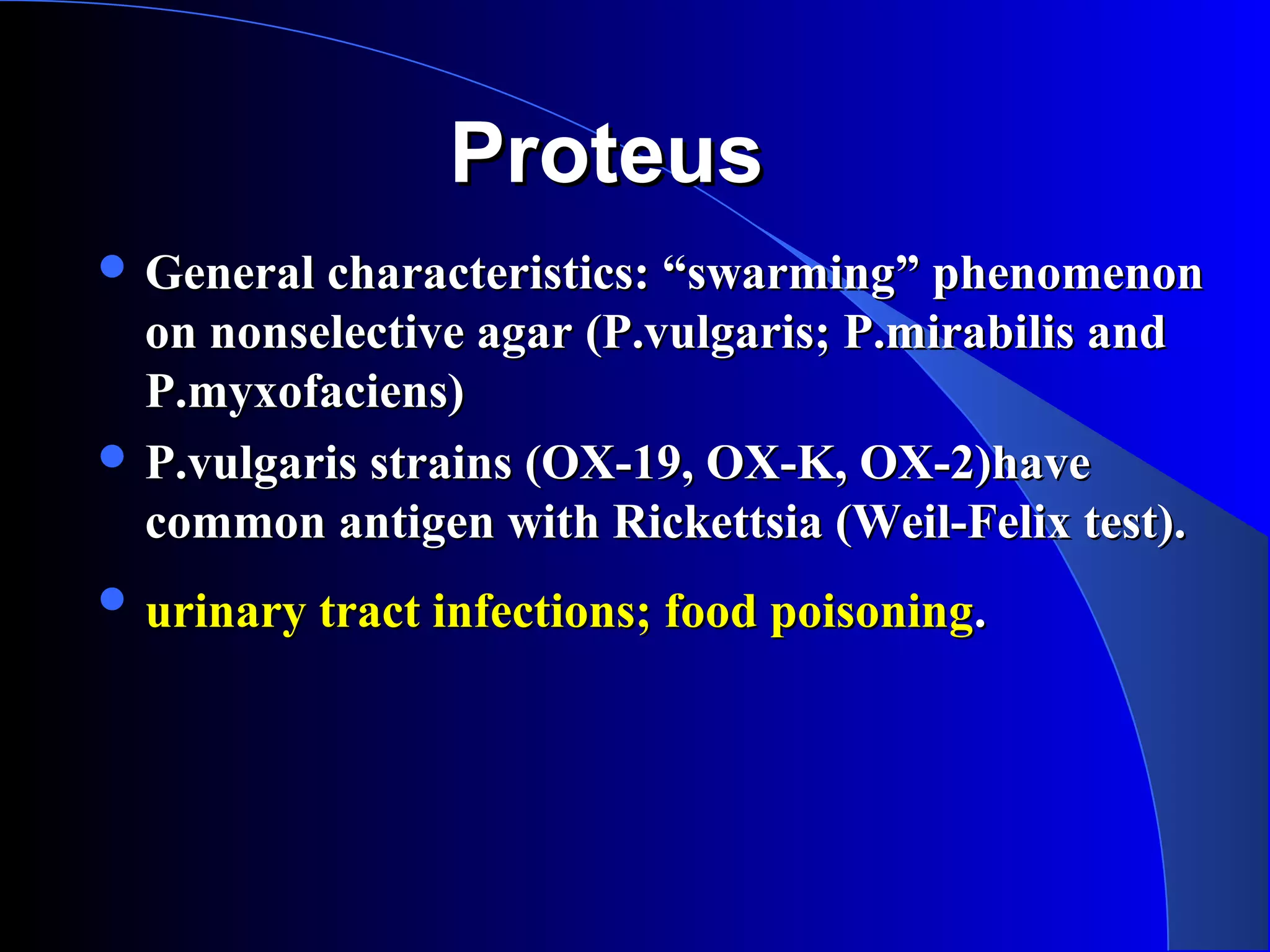 Enterobacteriaceae | PPT