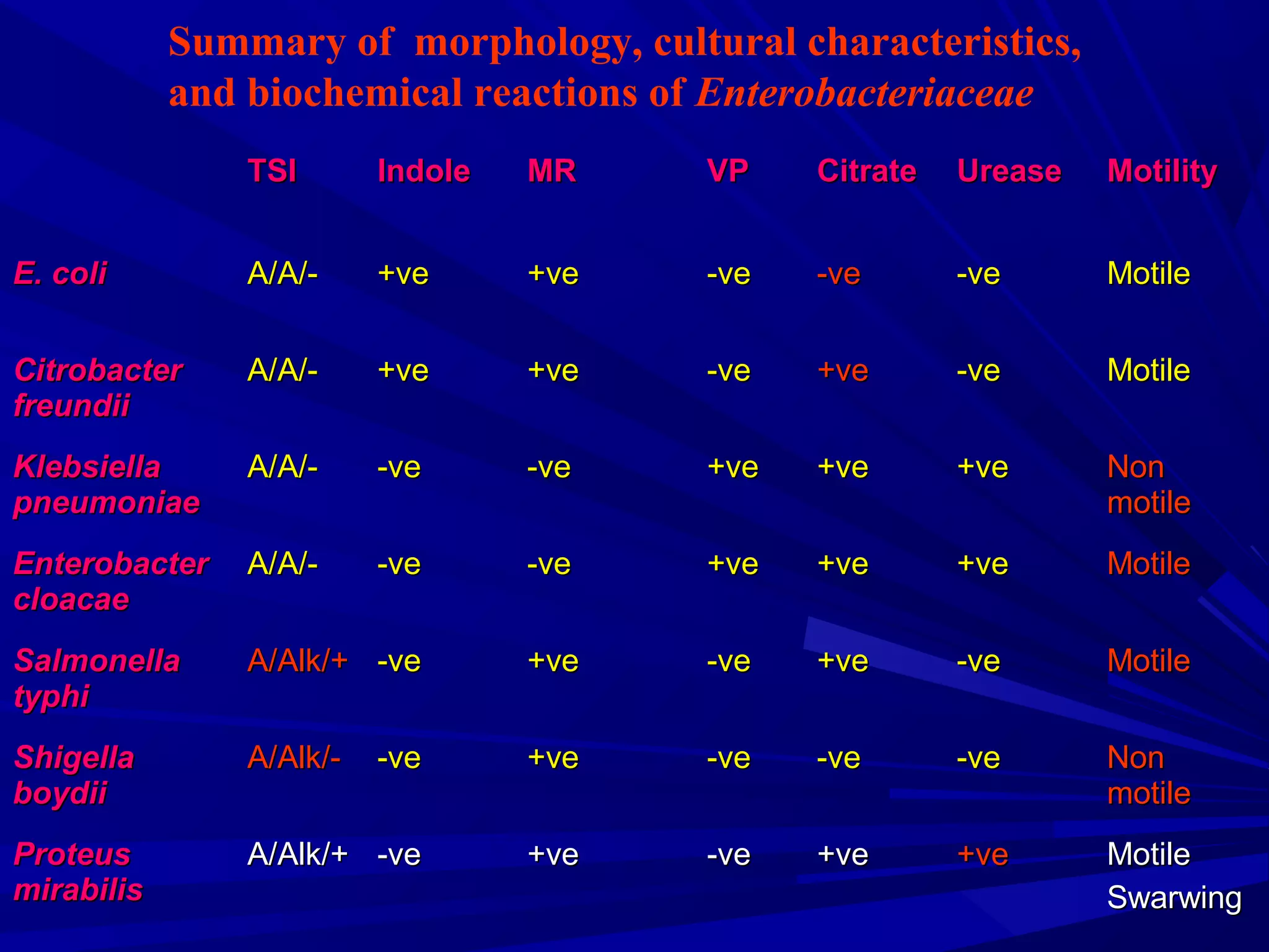 Enterobacteriaceae | PPT
