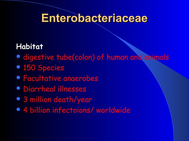 Enterobacteriaceae | PPT | Digestive Disorders | Diseases and Conditions