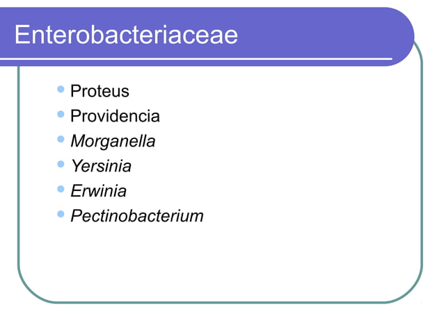 Enterobacteriaceae | PPT | Digestive Disorders | Diseases and Conditions