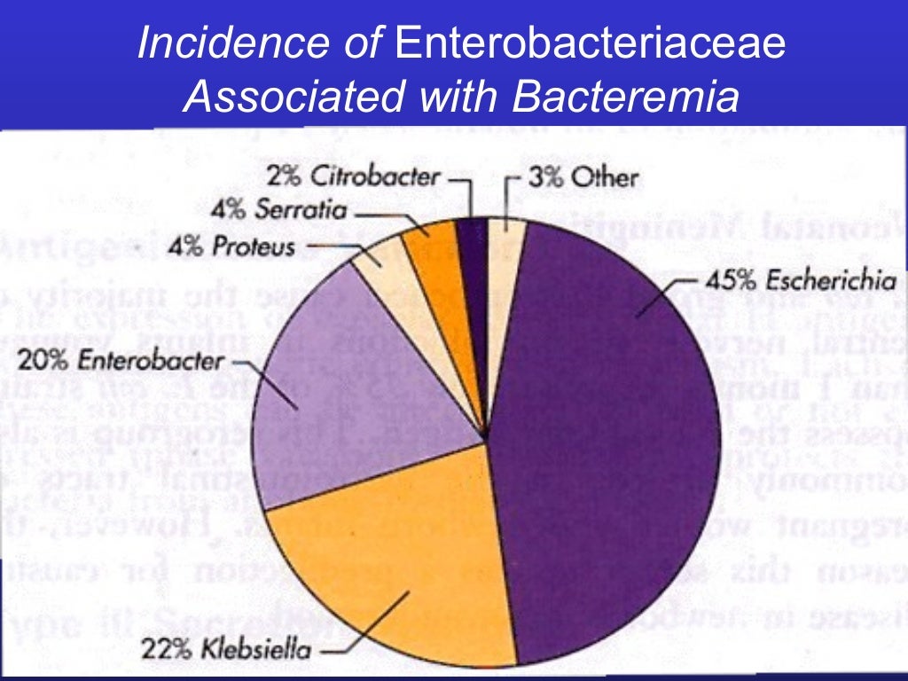 Enterobacteriaceae