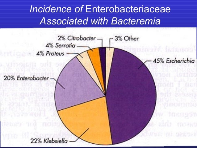 Enterobacteriaceae Infections Enterobacterial Infections