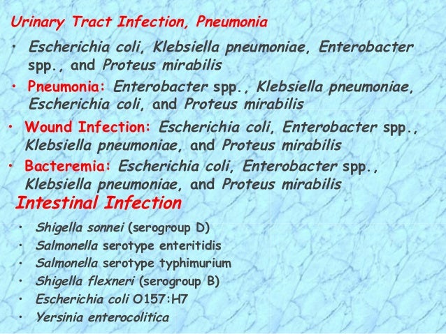 Enterobacteriaceae