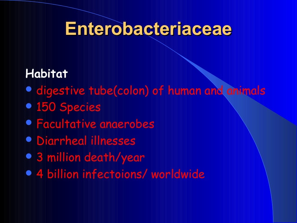 Enterobacteriaceae