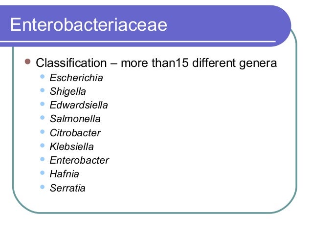 Enterobacteriaceae