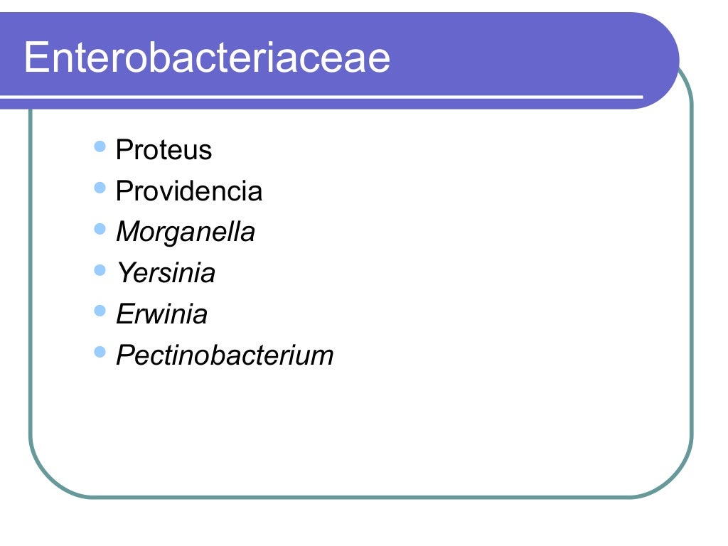 Enterobacteriaceae
