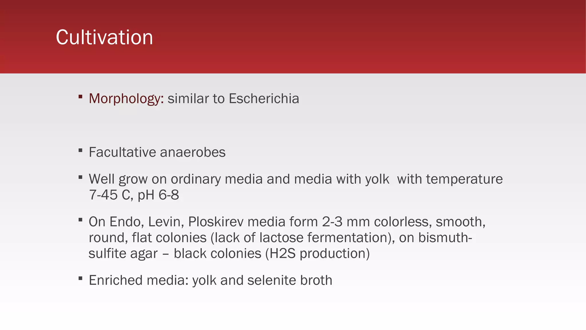 Enterobacteriaceae | PPT