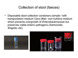 Enterobacteriaceae | PPT