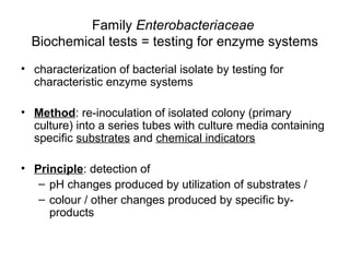 Enterobacteriaceae | PPT
