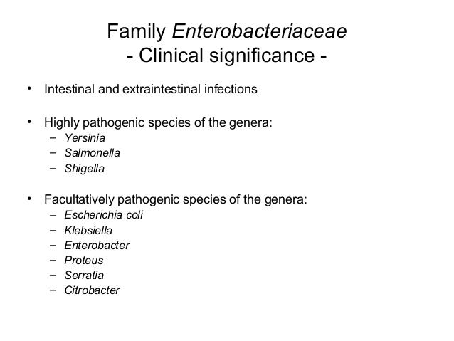 Enterobacteriaceae