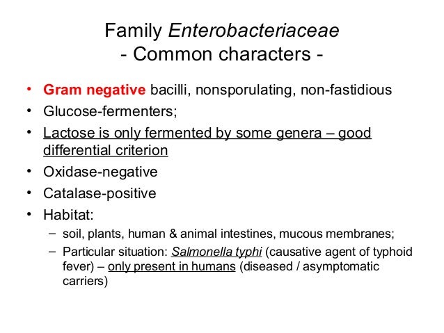 Enterobacteriaceae