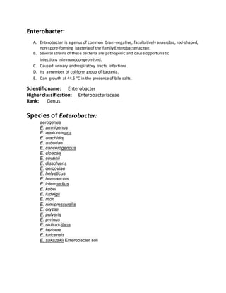 Enterobacteriaceae | DOCX