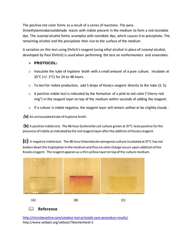 Enterobacteriaceae , Enterobacter and their Biochemical Test | DOCX