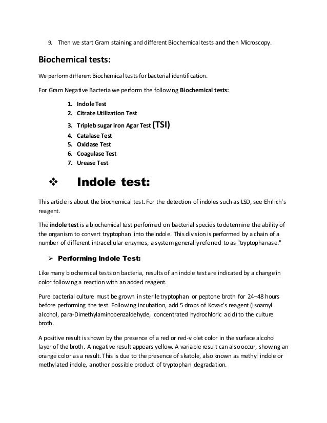 Enterobacter Gram Stain Results