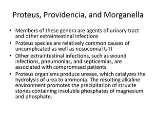 Enterobacteriaceae | PPTX