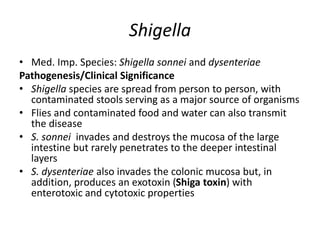 Enterobacteriaceae | PPT