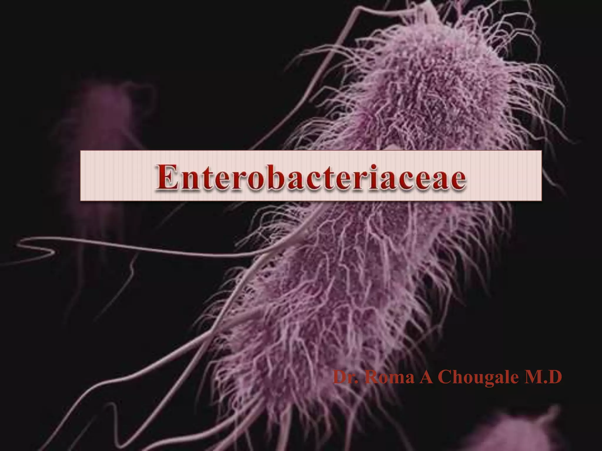 Enterobacteriaceae | PPTX