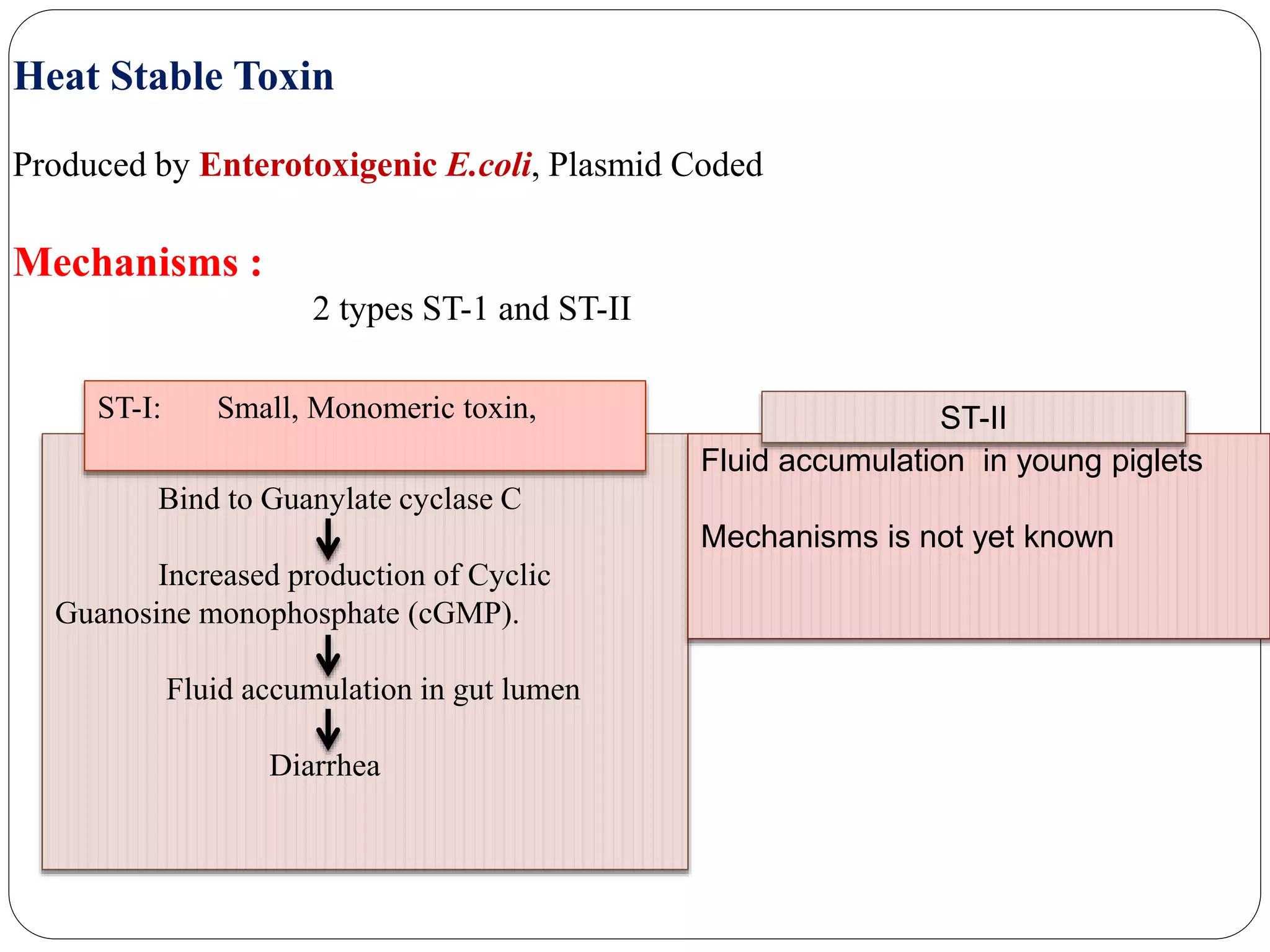 Enterobacteriaceae | PPTX