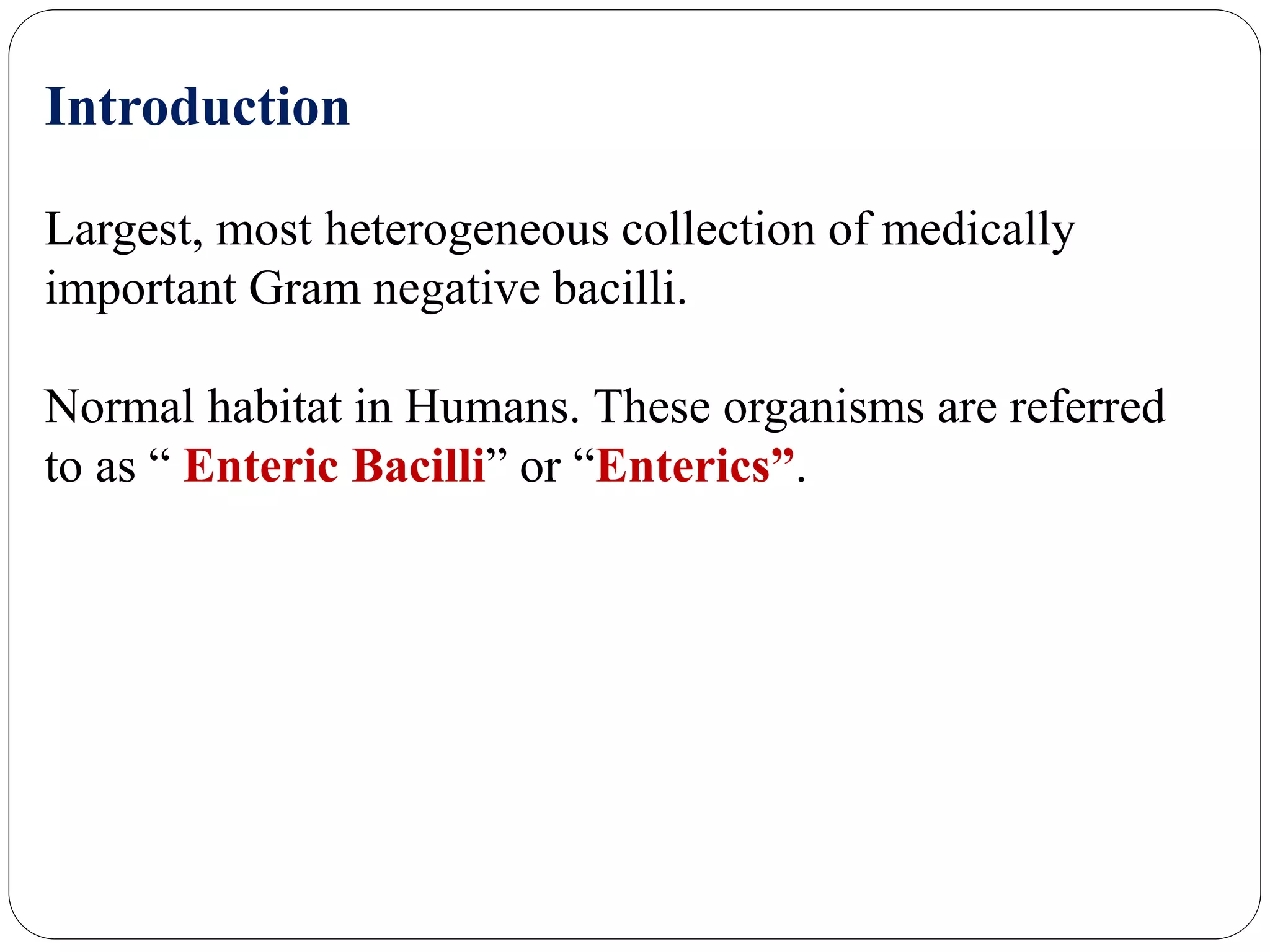 Enterobacteriaceae | PPTX