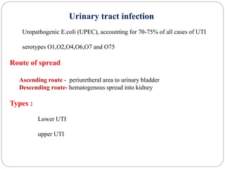 Enterobacteriaceae | PPTX