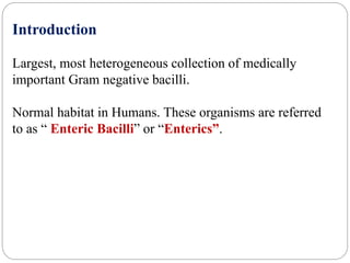 Enterobacteriaceae | PPTX