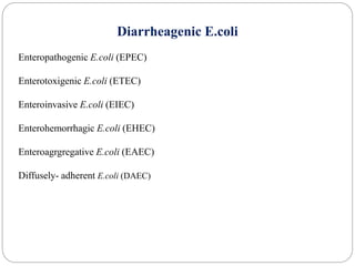 Enterobacteriaceae | PPTX
