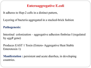 Enterobacteriaceae | PPTX