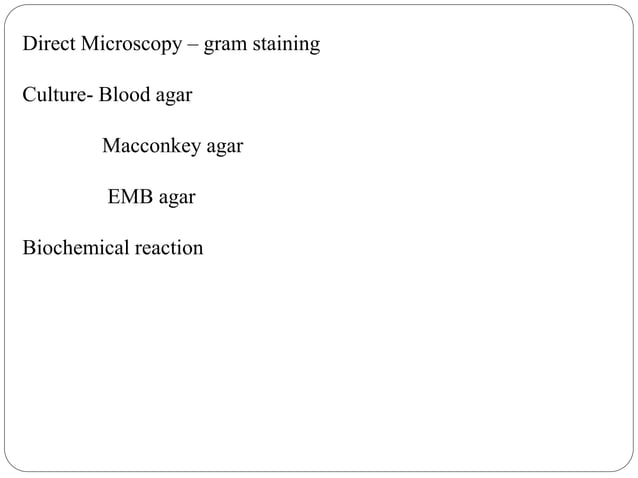 Enterobacteriaceae | PPTX