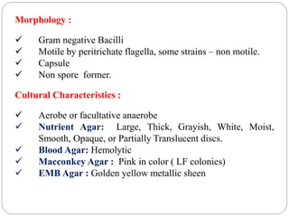 Enterobacteriaceae | PPTX