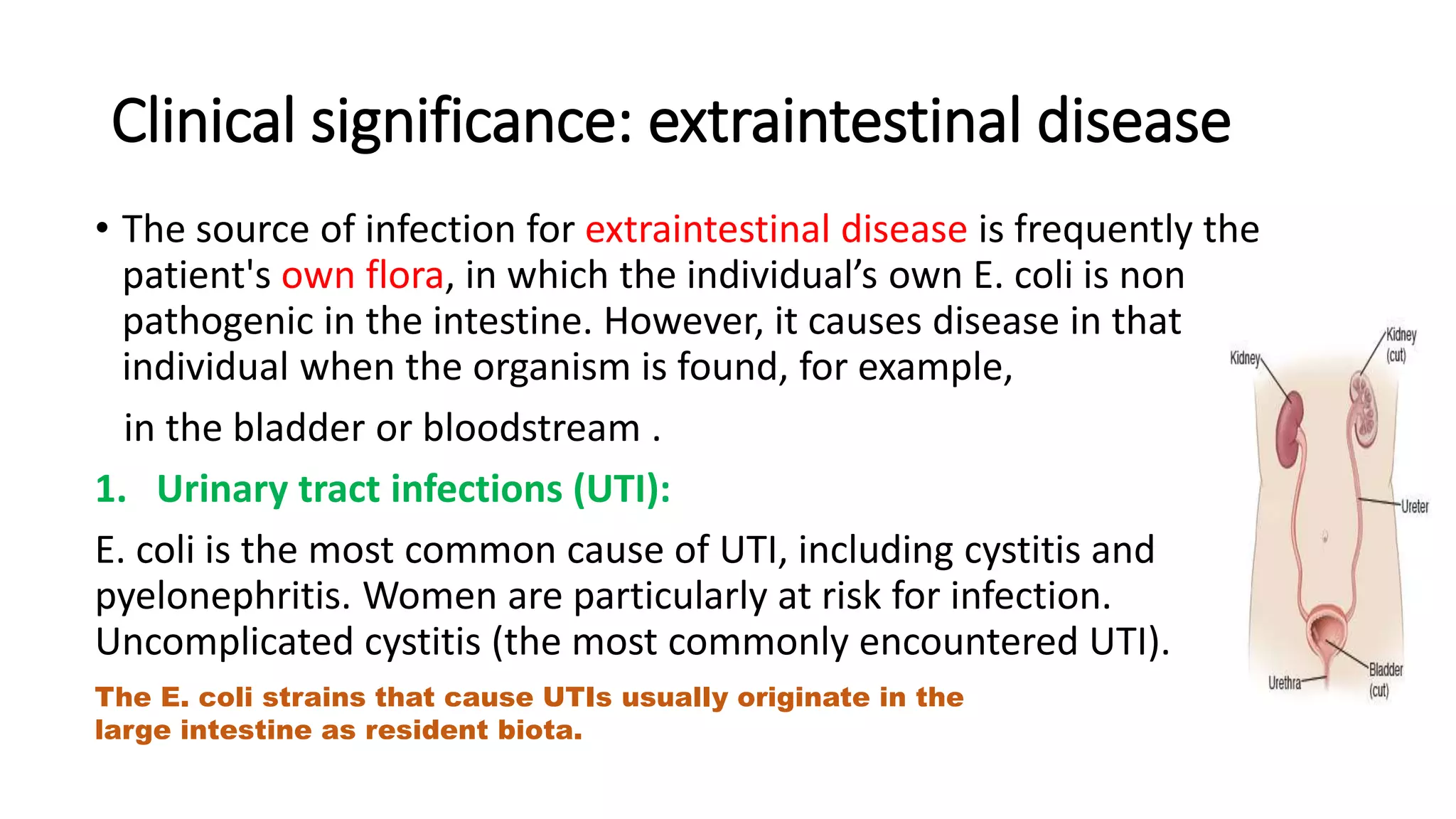 Enterobacteriaceae.pptx