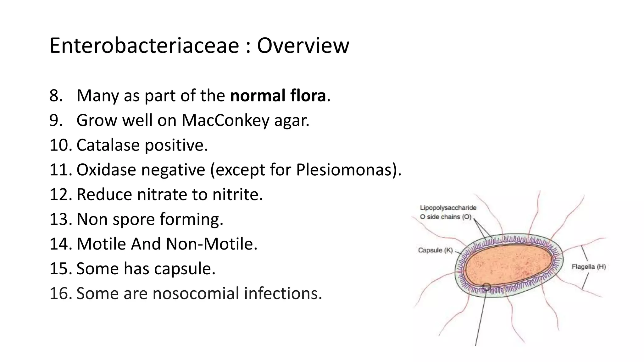 Enterobacteriaceae.pptx