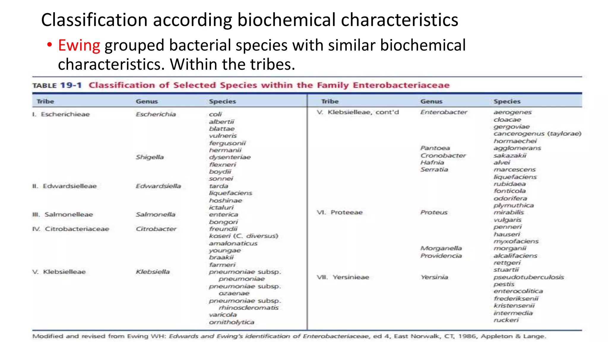 Enterobacteriaceae.pptx