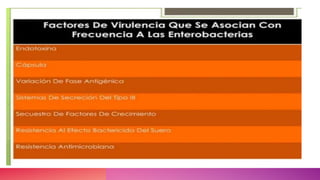 ENTEROBACTERIACEAE.pptx