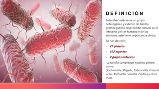 ENTEROBACTERIACEAE.pptx