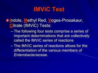 Enterobacteriaceae.ppt.jjkn.kjkhjjbjbhbhbh | PPT