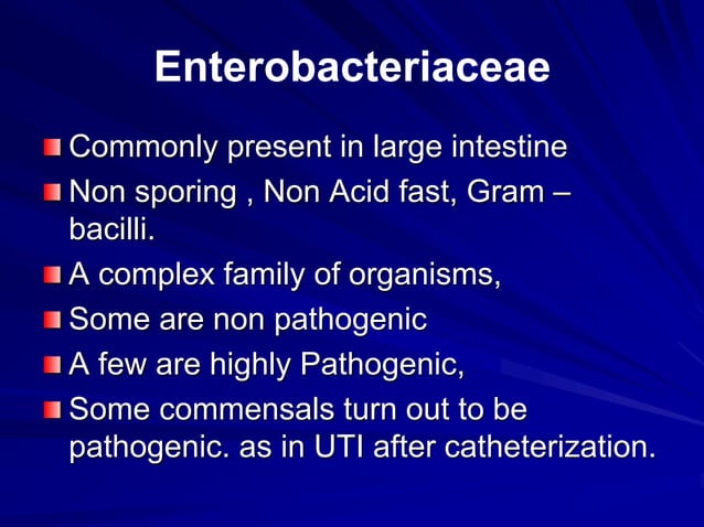 Enterobacteriaceae.ppt.jjkn.kjkhjjbjbhbhbh | PPT