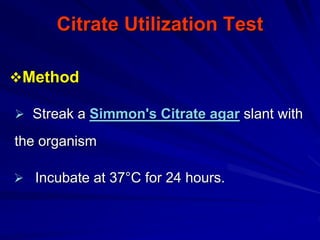 Enterobacteriaceae.ppt.jjkn.kjkhjjbjbhbhbh | PPT