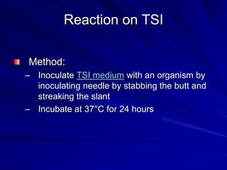 Enterobacteriaceae.ppt.jjkn.kjkhjjbjbhbhbh | PPT