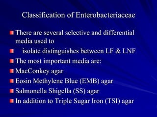 Enterobacteriaceae.ppt.jjkn.kjkhjjbjbhbhbh | PPT