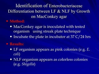 Enterobacteriaceae.ppt.jjkn.kjkhjjbjbhbhbh | PPT