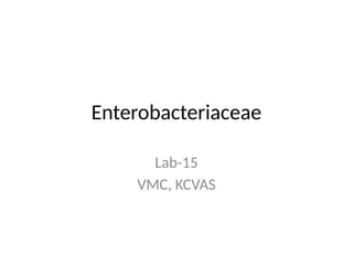 Isolation and Identification of Enterobacteriaceae | PPTX