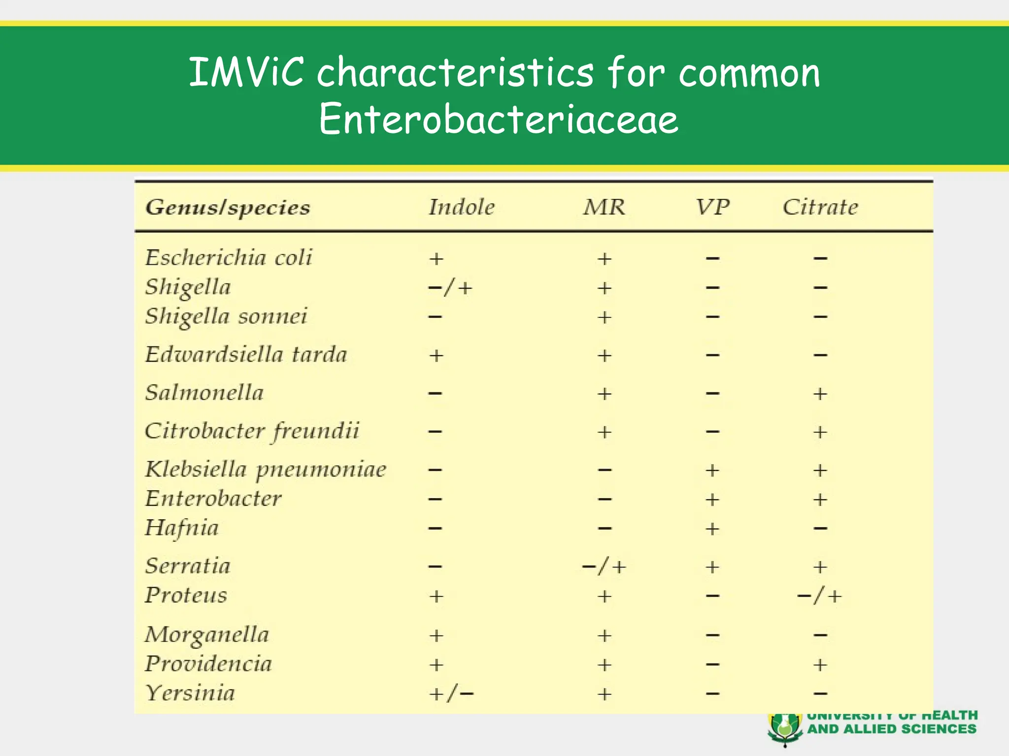 ENTEROBACTERIACEAE.pptx uhas slides on enterobacteriae | PPTX ...